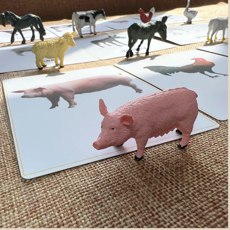 11 Farm Animals Montessori 3 Part Cards with Matching Miniature Figure ...