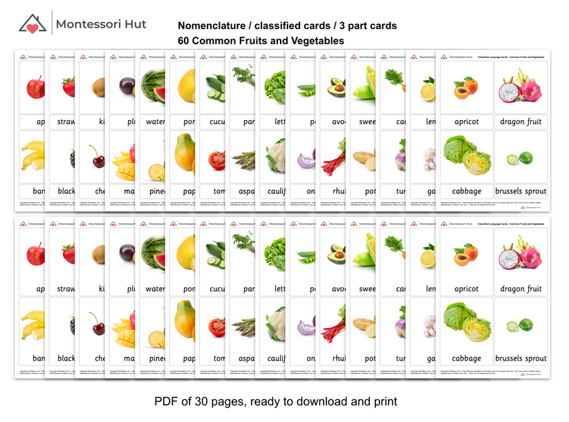 Montessori Classified Cards, Three Part Cards of 60 Fruits and ...